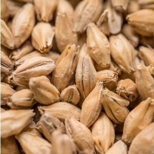 Se vårt utvalg av basemalt til hjemmebrygging - Litebrygg